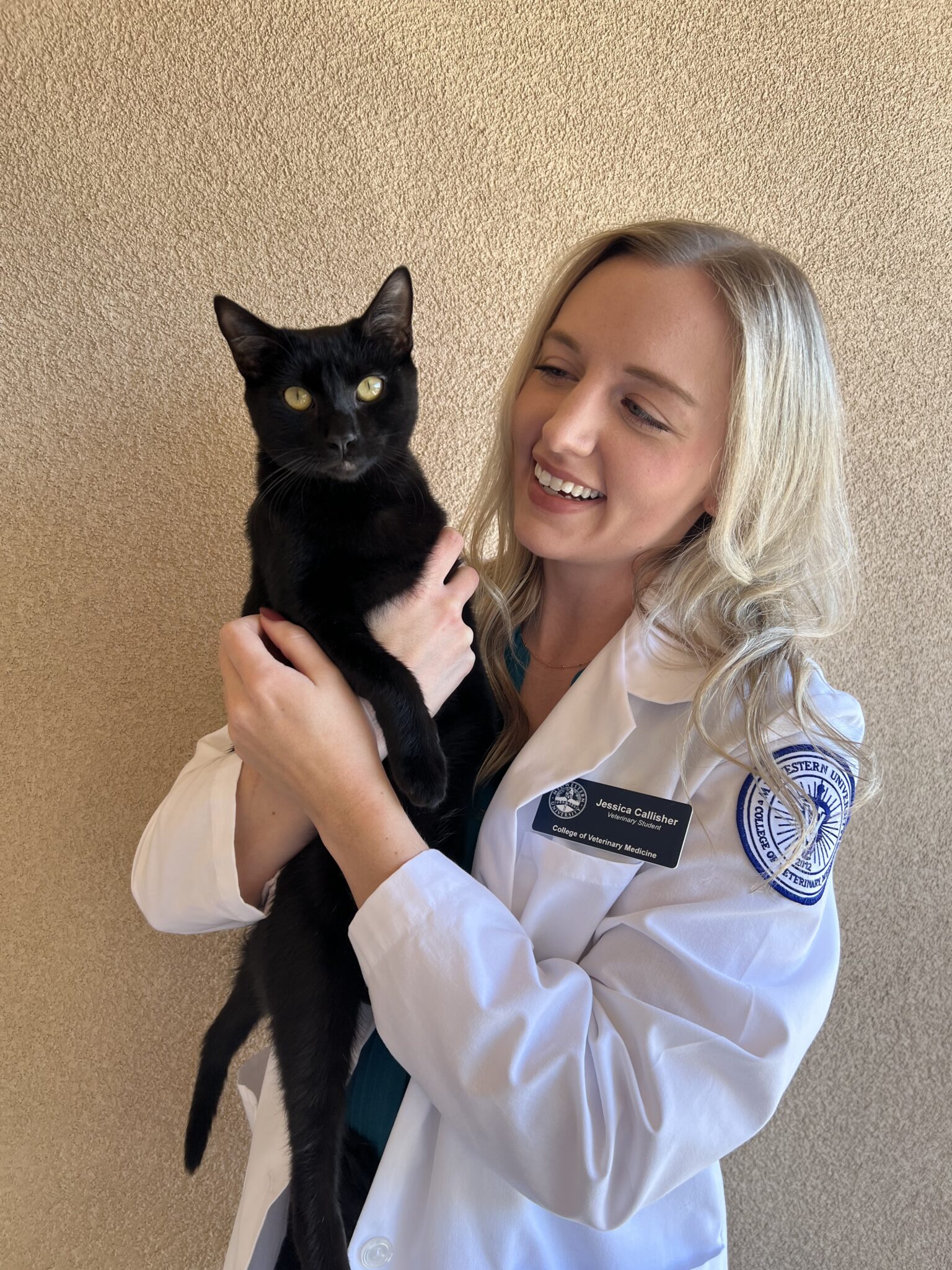 Hospital Information | Williamsville Veterinary Hospital